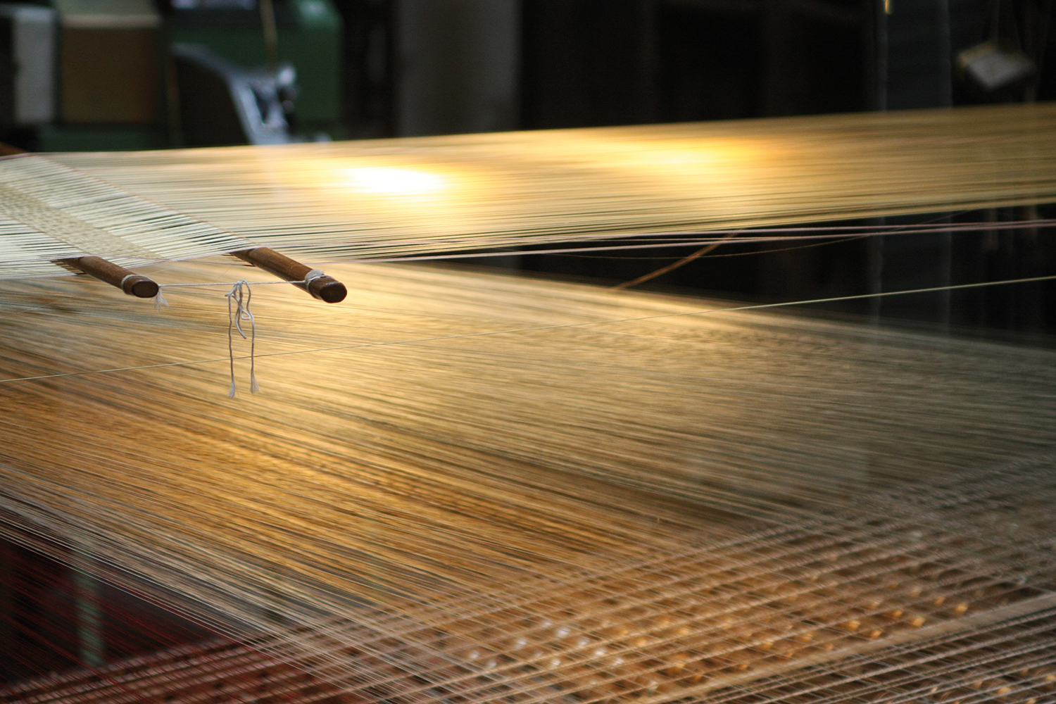 Luigi Bevilacqua, the only Italian manufacturer of “soprarizzo” velvet ...